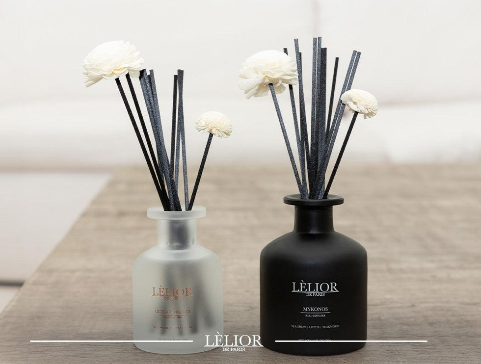 How to Choose the Perfect Lèlior Reed Diffuser | Lèlior Blog