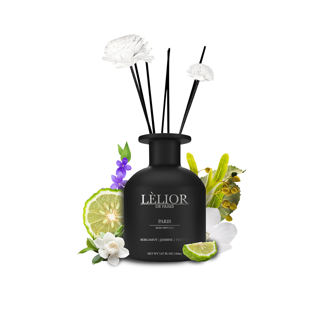 Destination Voyage™ Reed Diffusers - Paris